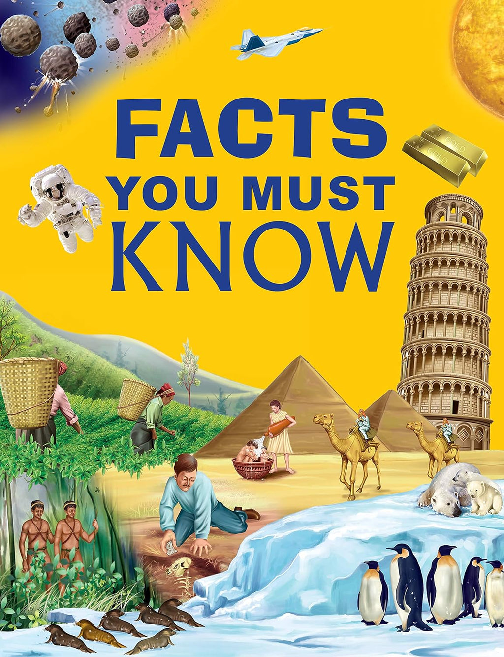 FACTS YOU MUST KNOW BINDER – Odyssey Online Store