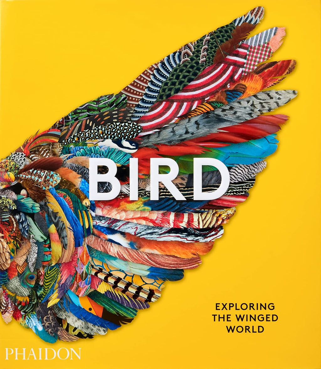 BIRD – Odyssey Online Store